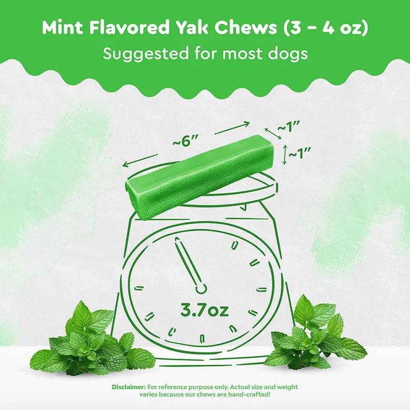 Freshen Up Your Dog's Day with Mint Yak Chews: Healthy and Refreshing ...