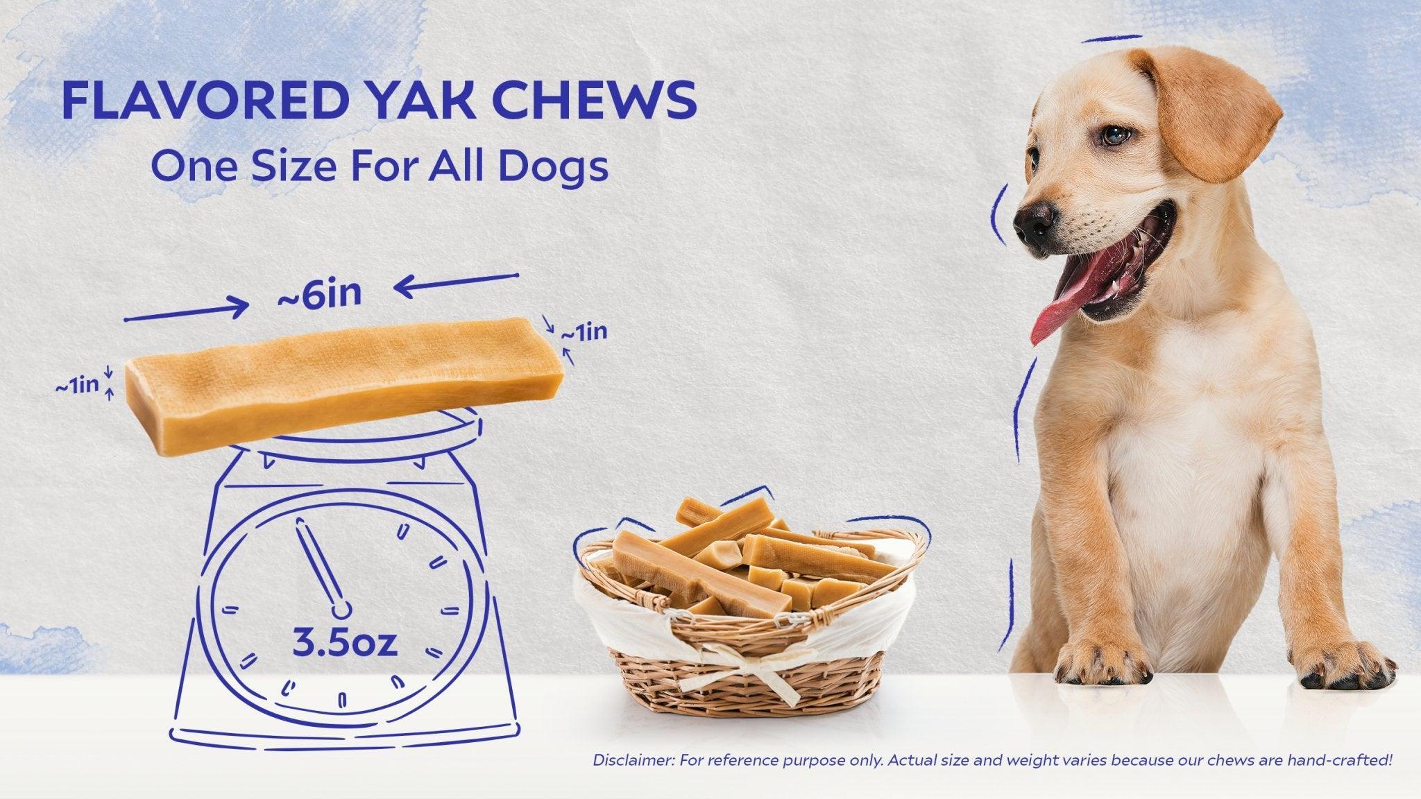 Unleash the Berry Fun! Delicious Blueberry Yak Chews for Dogs – The ...